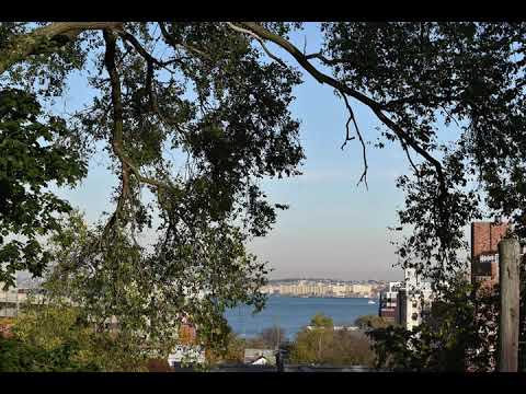 2 bd1 ba1,100 sqft Apartment for rent Staten Island, NY