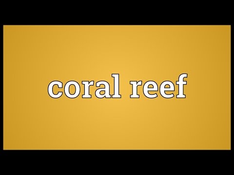 Coral reef Meaning