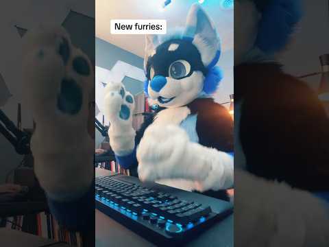 How to get a cheap fursuit! (Furry fandom)