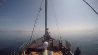 Alaska Small Ship Cruises aboard the Motor Vessel David B