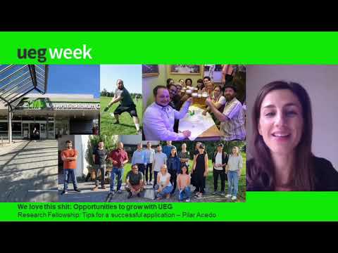 UEG Research Fellowship – What it is & tips to apply