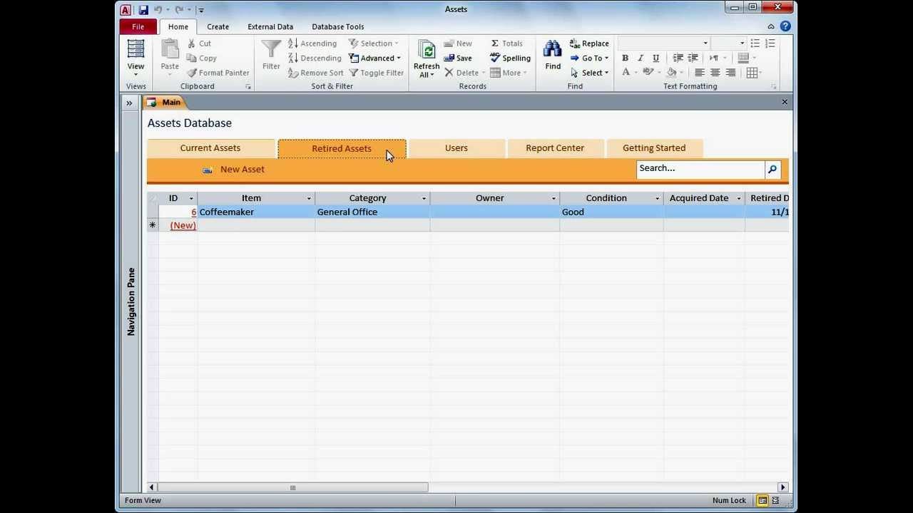 In Access: Use the Assets Web Database template