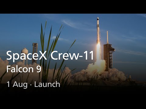 Live: Falcon 9 SpaceX Crew-11 (No Commentary)
