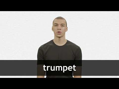 TRUMPET——含义、同义词和翻译| 柯林斯英语词典资源
