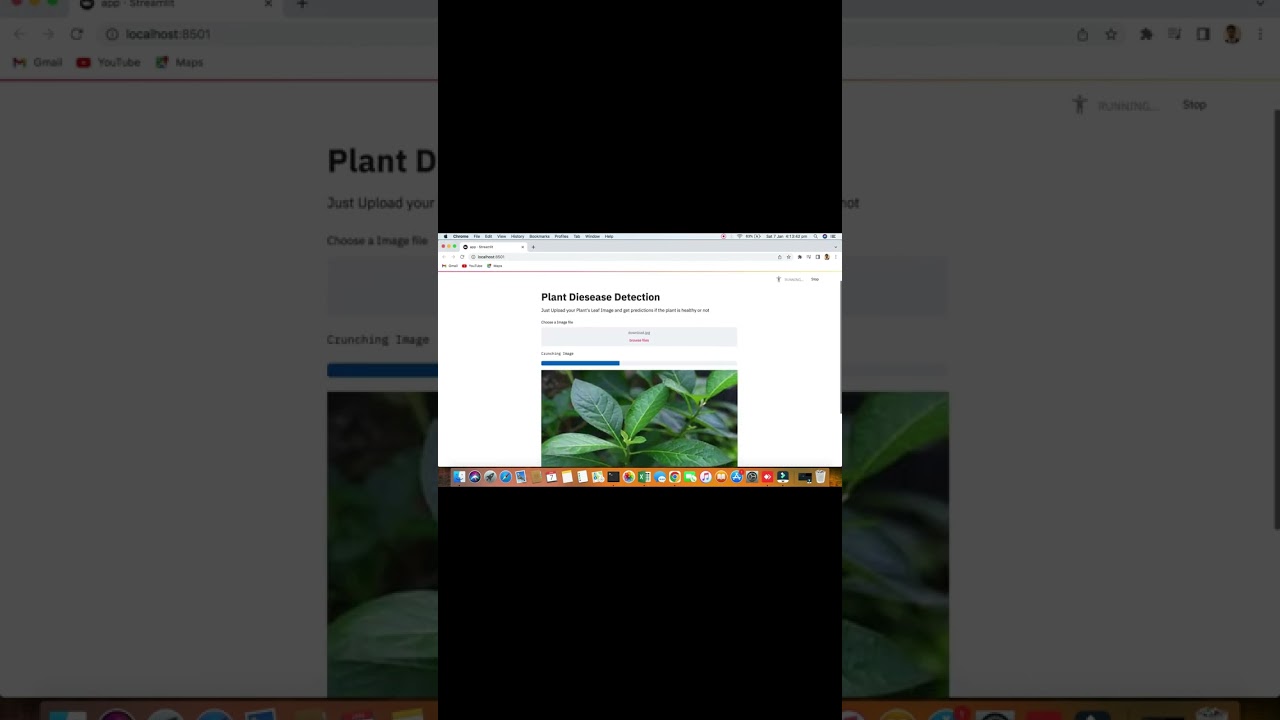 Plant Disease Detection