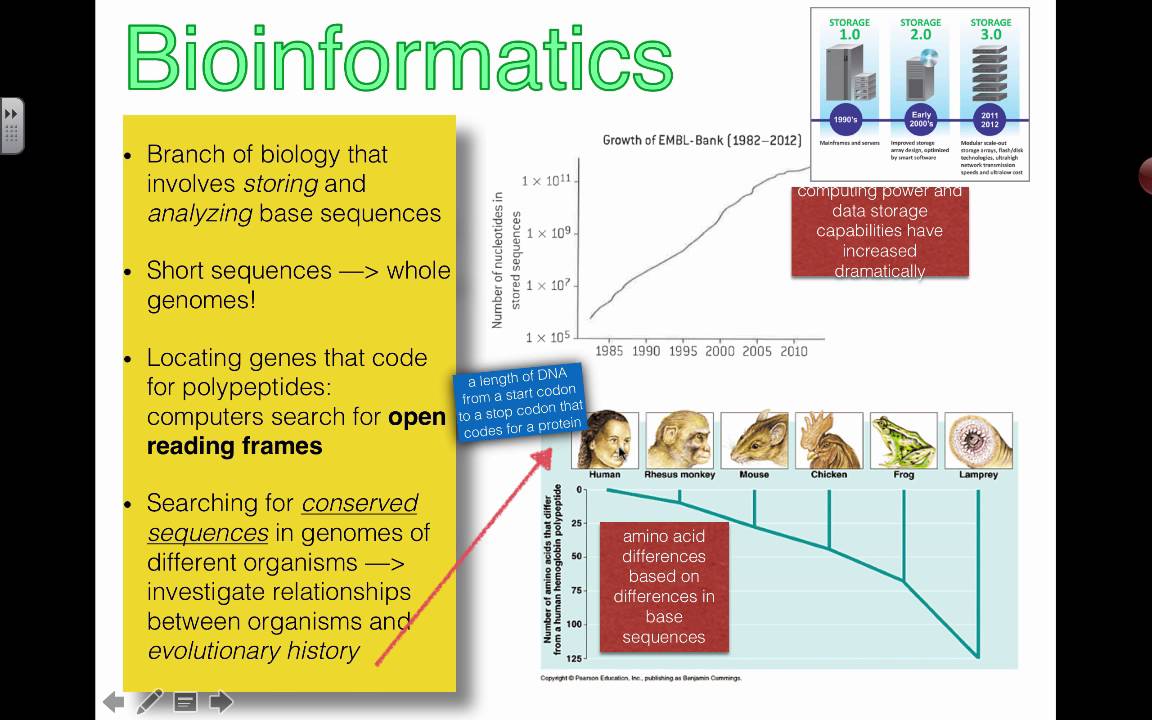 Bioinformatics (2016) IB Biology