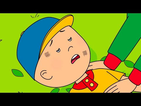 Caillou Falls Out of a Tree | Caillou's New Adventures