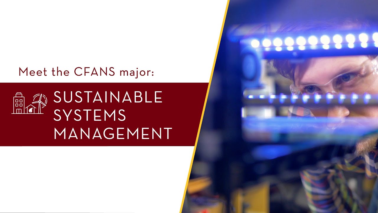 Study Sustainable Systems Management