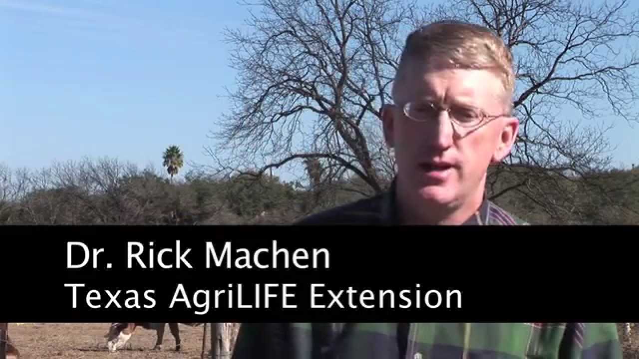 Rick Machen - Introduction to Beef Quality Assurance (BQA)