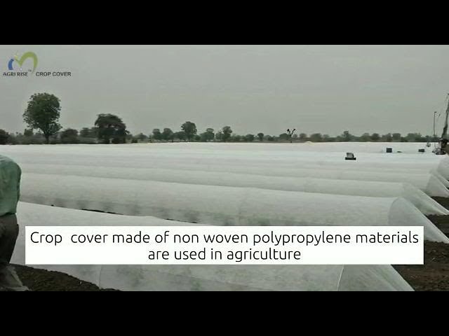 Crop Cover - Non Woven Crop Protection Cover Manufacturer from Nashik