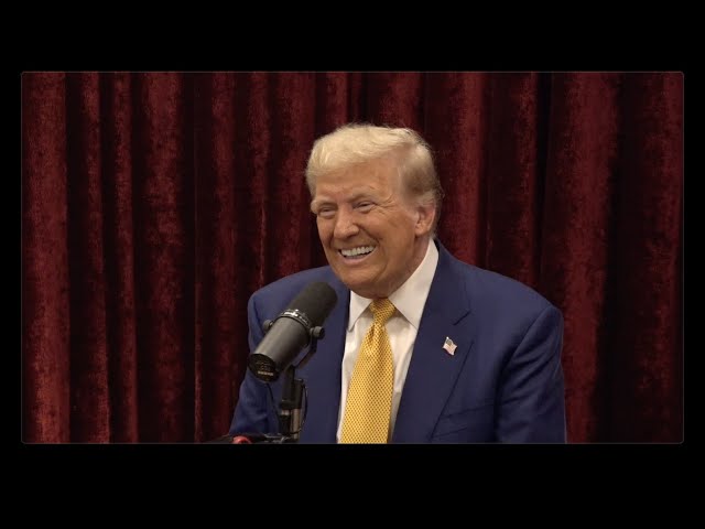 Donald Trump recalls being a Democrat, explains to Joe Rogan why he ...