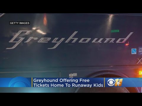 Greyhound Offers Free Bus Tickets Home To Runaway Kids