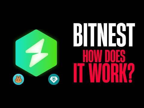 How the Bitnest Ecosystem Works