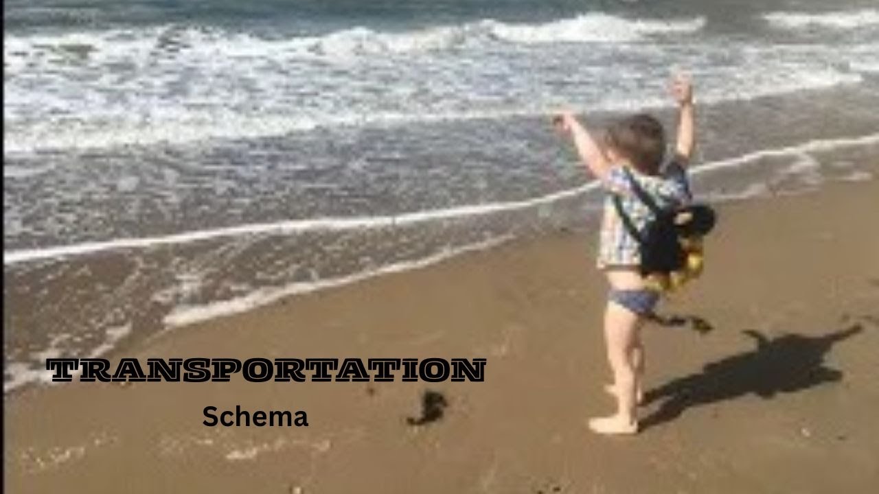 Understanding the #transportation  Schema in Early Childhood #play