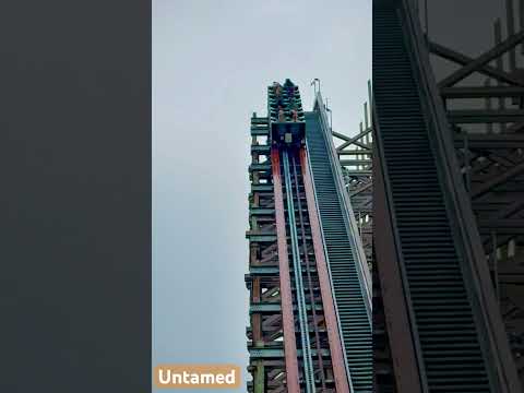 Untamed @WalibiHolland @Themeparkeye #rollercoaster #shorts