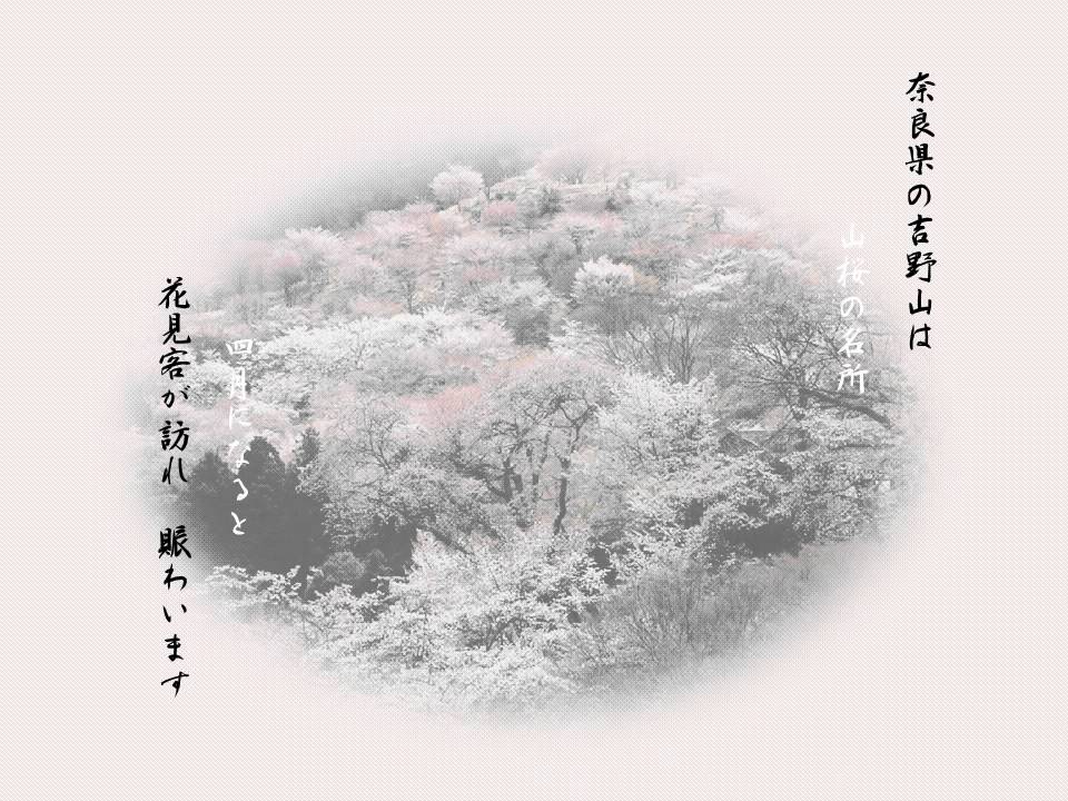 yosinoyama2