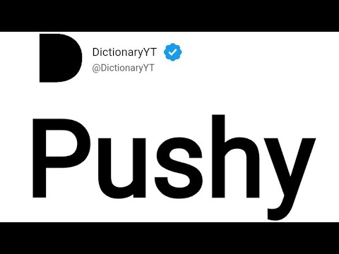 Pushy Meaning in English