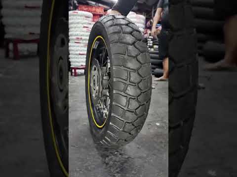 Michelin Anakee Adventure Tire on Voge 900 DsxRear 150/70-17
