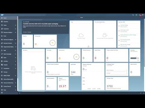SAP C4C - Sales Cloud Business Configuration