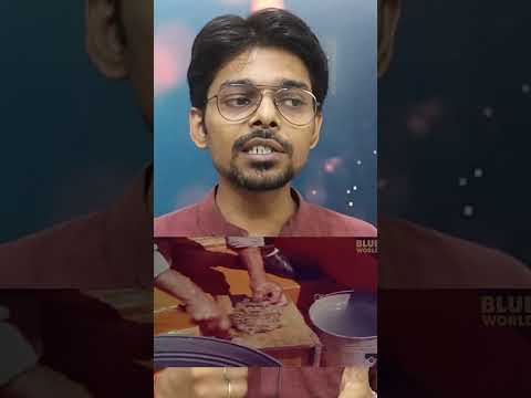 Sabse Simple Animals || Sponges || Phylum Porifera #diversity #ascensiontalks #evolution #class 9sci