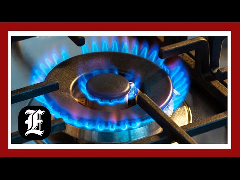Voters in blue Washington vote to block bans on gas stoves