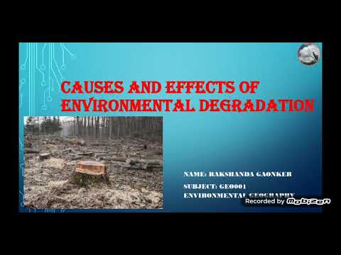 environmental degradation