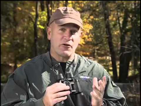 Optic 1050 Binoculars - As Seen On TV - optic1050.com