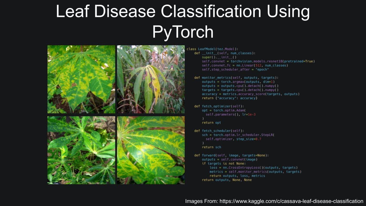 Leaf Disease Classification Using PyTorch