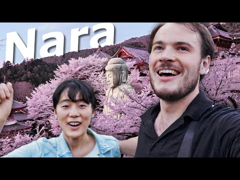 Why You Should NOT Avoid Nara | My Japanese Girlfriend's Dream Trip