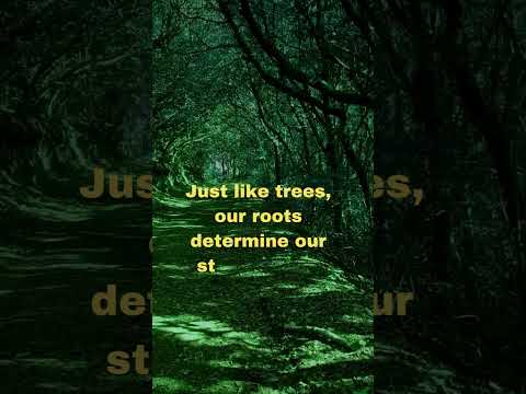 Inspiring Tree Quotes for the Environment
