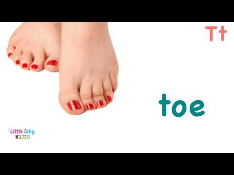 Words Starting With T - Learn Words that Start with T Sound with spellings || Preschool Learning ||