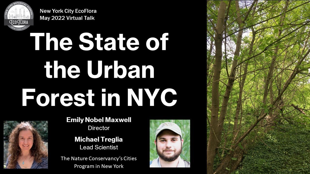 The State of the Urban Forest in New York City - Emily Nobel Maxwell & Mike Treglia - NYC EcoFlora