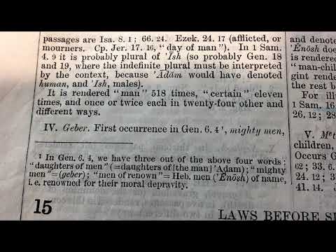 synonymous words used for man apx 14