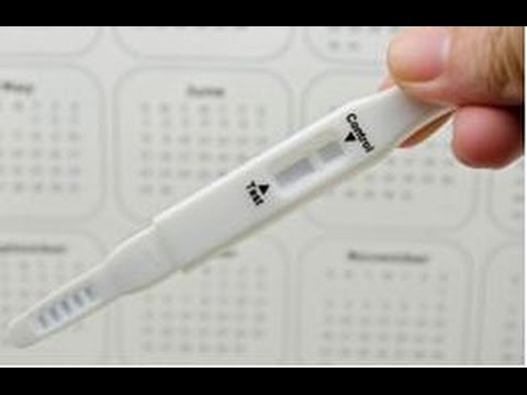 Conception Calculator Based on Due Date