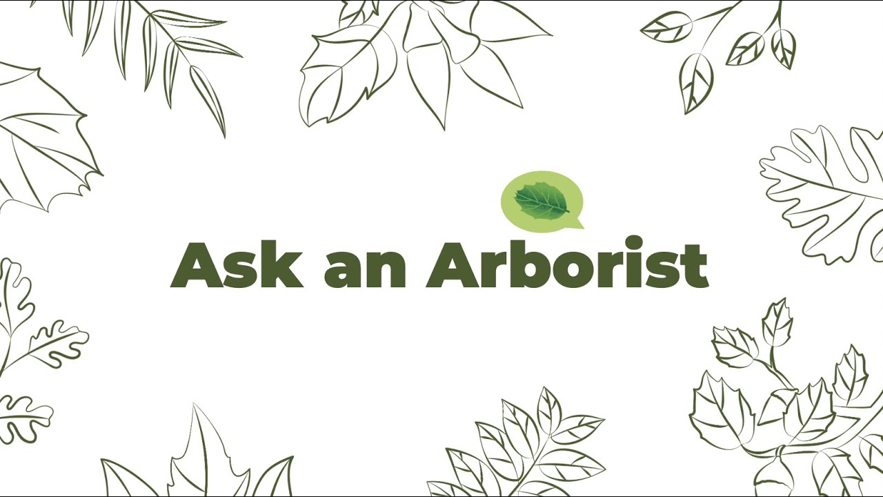Learn@Home: Ask an Arborist