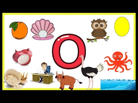 Words That Start with Letter O for Toddlers | Letter O Vocabulary | Vocabulary Words For Kids