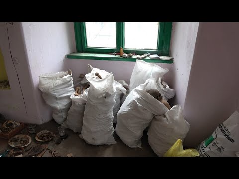 ReTV: Ilūkstes klostera ēkā paveras baiss skats ar maisos saliktām cilvēku mirstīgām atliekām