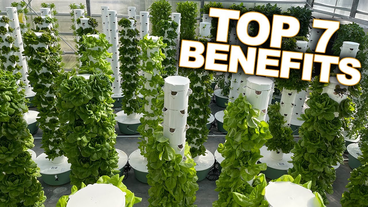 Vertical Farming with Aeroponics: Top 7 Benefits of a Tower Farm