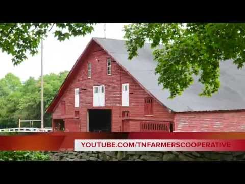 Welcome to the Co-op Channel: Follow us & follow farming