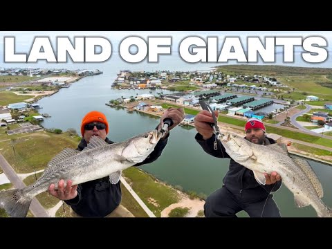 "MONSTER Speckled Trout Caught in the Land of Giants! | Port Mansfield, TX"