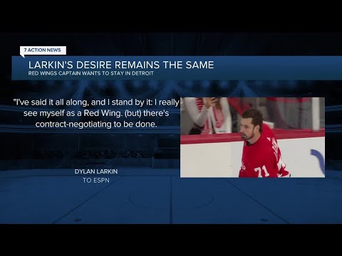 Dylan Larkin on potential contract extension: 'I really see myself as a Red Wing'