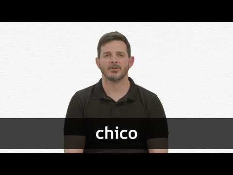English Translation of “CHICO” | Collins Spanish-English Dictionary