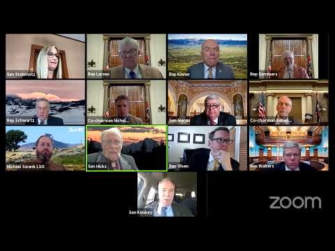 Joint Appropriations Meeting, October 26,2020-AM