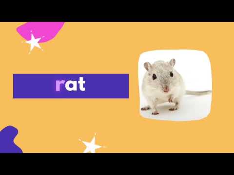 Phonics Set 4 reu Letter Sounds Words with beginning letter sound