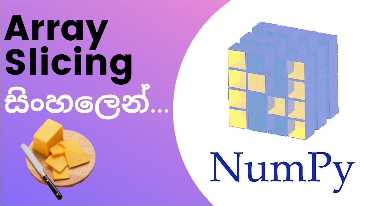 Python Numpy  Tutorial - 04 | Array Slicing | Sinhala