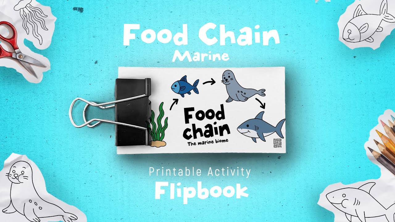 Let's Make the Food Chain Flipbook | Animated Activity with Coloring Pages