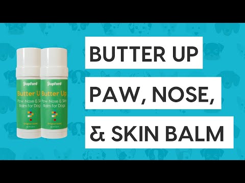 Butter Up: Paw, Nose & Skin Balm for Dogs
