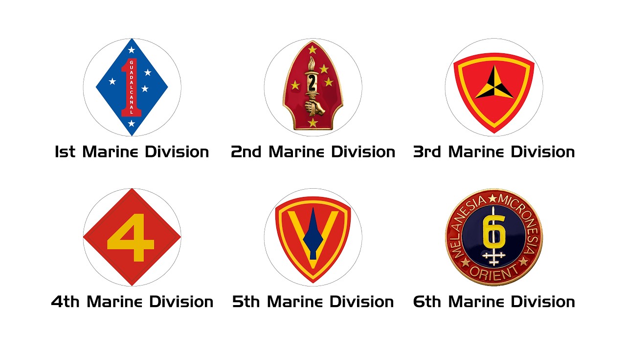 Every US Marine Division Explained