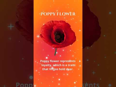 Poppy Flower August Birth Month means loyalty, which is a trait that Virgos hold dear❤️Click link