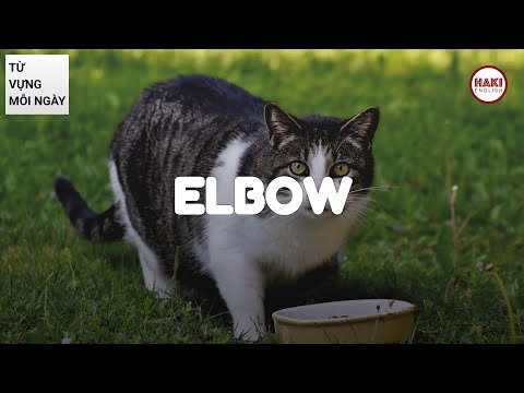 ELBOW | Phát âm - Giải nghĩa - Ví dụ | Từ vựng tiếng Anh